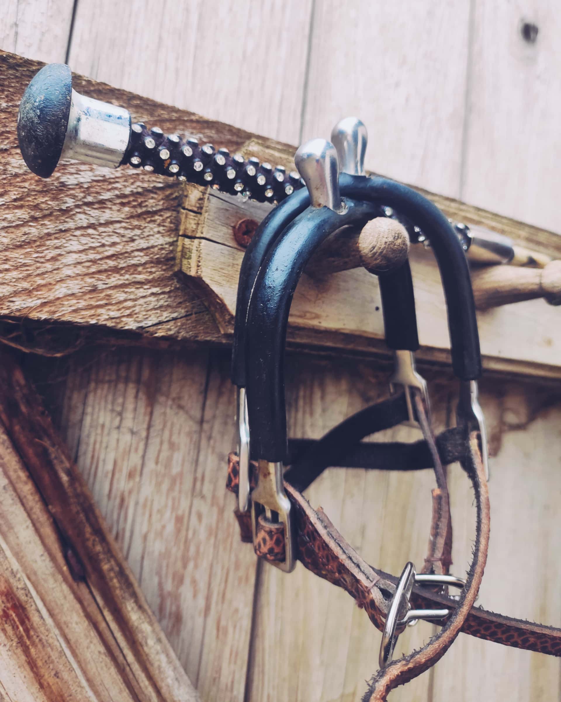 Gerte und Sporen - ein Must-Have für feines Reiten? - rocket.horse